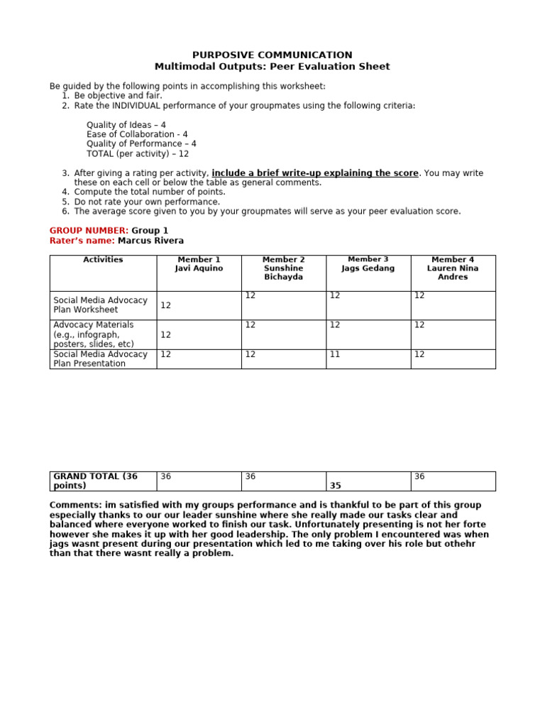 Peer Evaluation Sheet for Group Projects | PDF