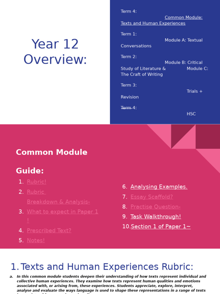 Lesson 4 - Year 12 Common Module - Texts and Human Experiences | PDF