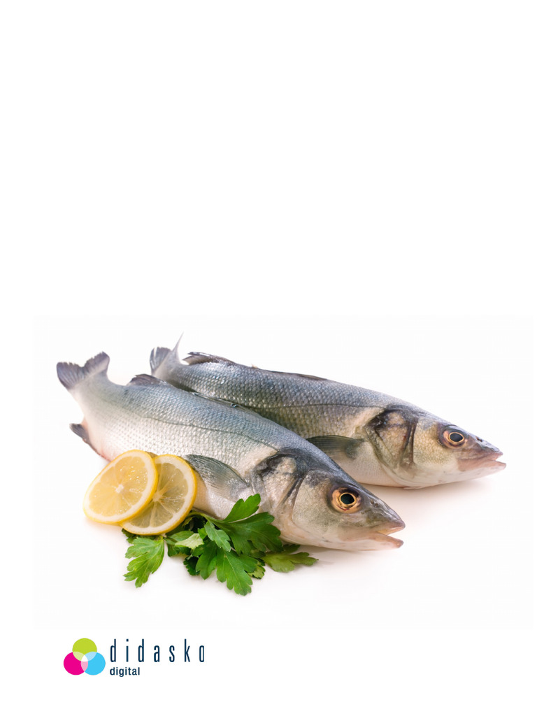 SIT17 SITHCCC013 Prepare Seafood Dishes LG V2-0 | PDF | Mollusca | Seafood