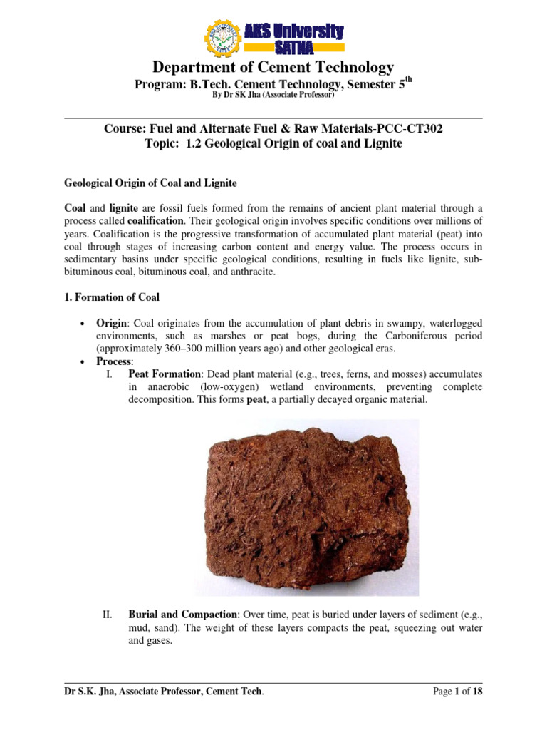 1.2 Geological Origin of coal and Lignite | PDF | Coal | Bituminous Coal
