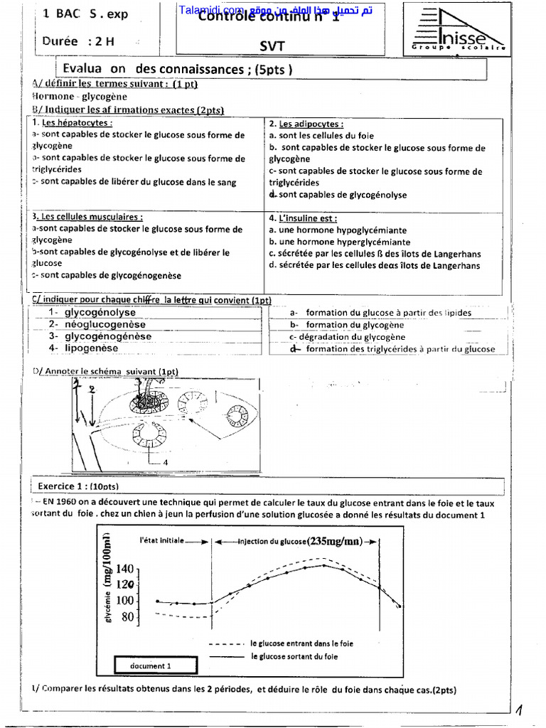 Talamidi.com Devoir 1 Modele 2 Svt 1 Bac Sc Ex Semestre 1 | PDF