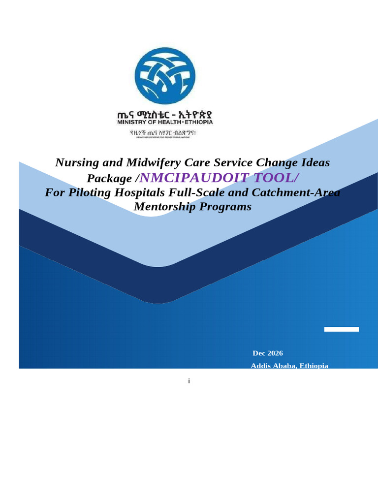 Nursing & Midwifery Care Improvement Toolkit | PDF | Mentorship | Nursing