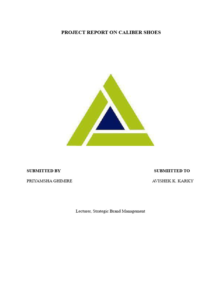 Brand | PDF | Brand | Shoe