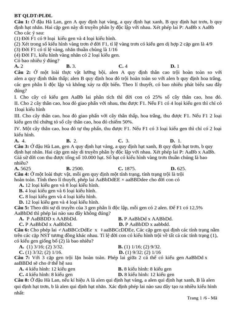 1. VAN DUNG-PLDL | PDF