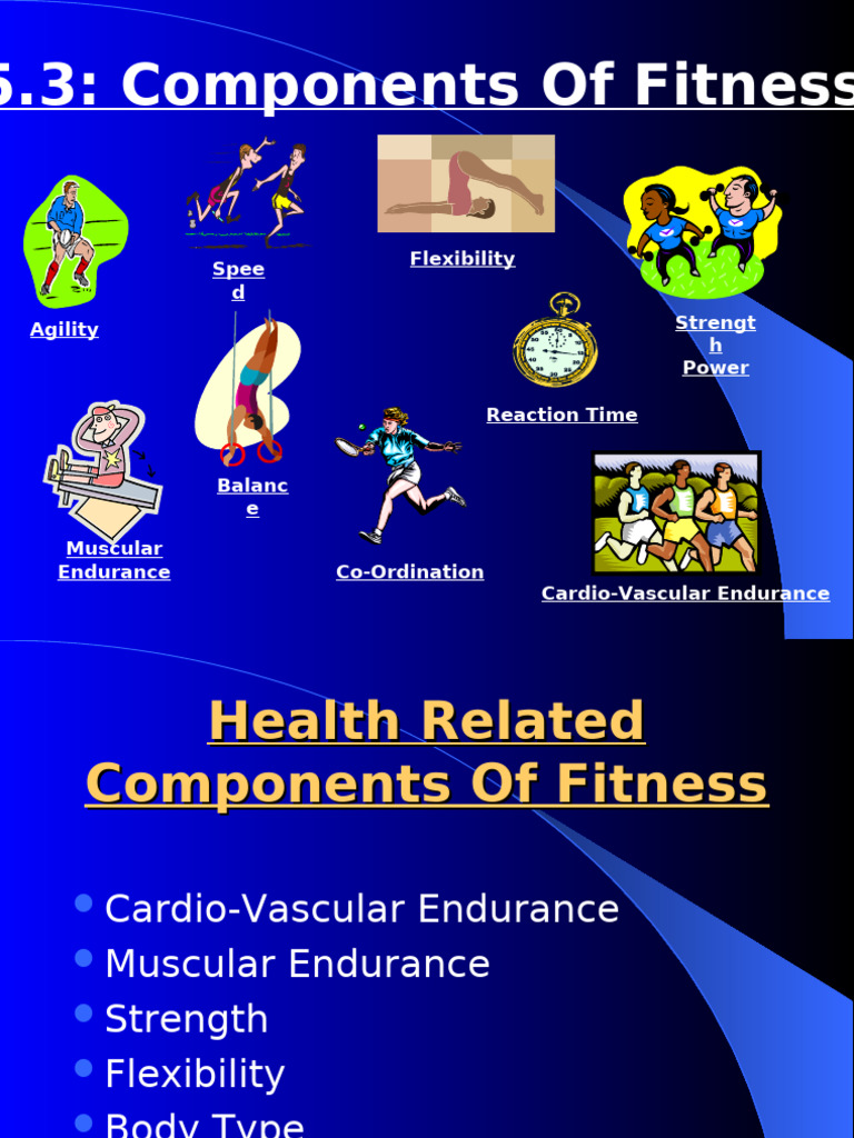 5.3 - Components of Fitness | PDF | Flexibility (Anatomy) | Physical ...