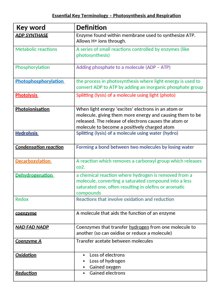 Lesson 1a Key Word Definition List - No Answers | PDF