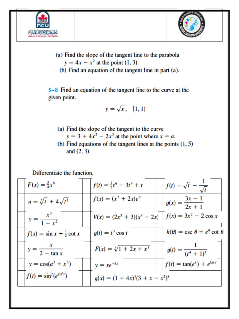 Sheet 3 - Differentiation | PDF