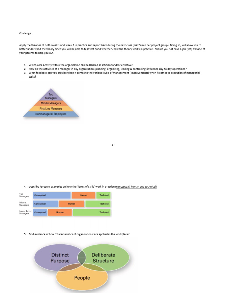 Practical Application of Management Theories | PDF
