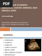 Tinggi Fundus Uteri Berdasarkan Usia Kehamilan | PDF | Gaya Hidup
