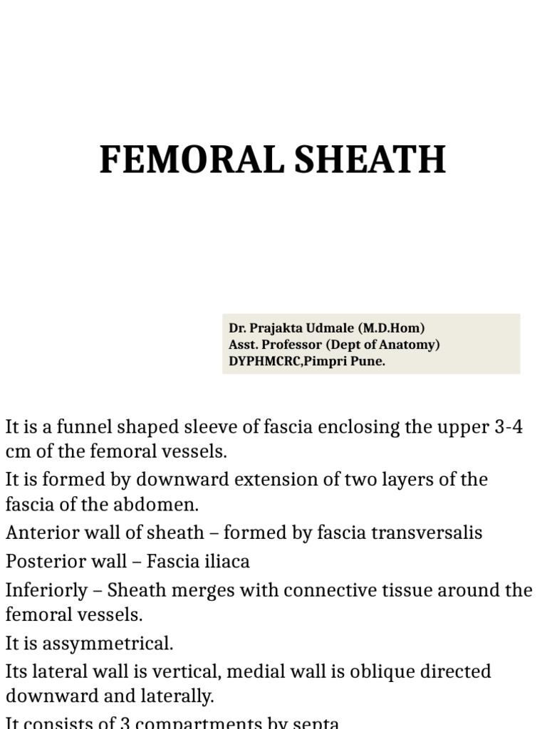 Femoral Sheath new | PDF