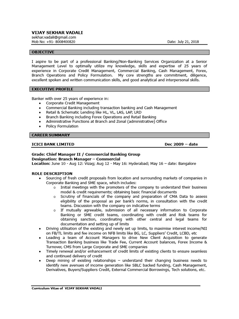 CV_Vijay_Vadali.pdf | PDF | Banks | Reserve Bank Of India