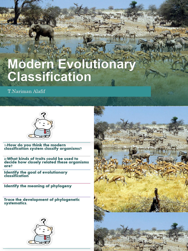 Modern evolutionary classification-1 | PDF | Phylogenetics | Taxon