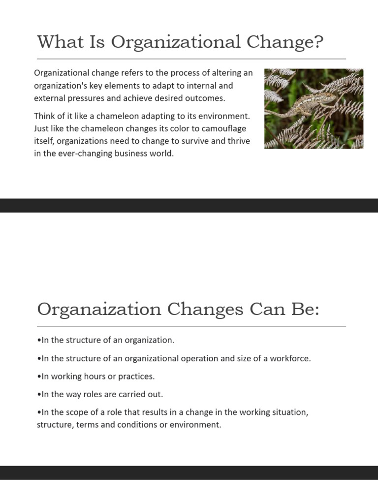 presentation on Organizational Change | PDF | Change Management ...