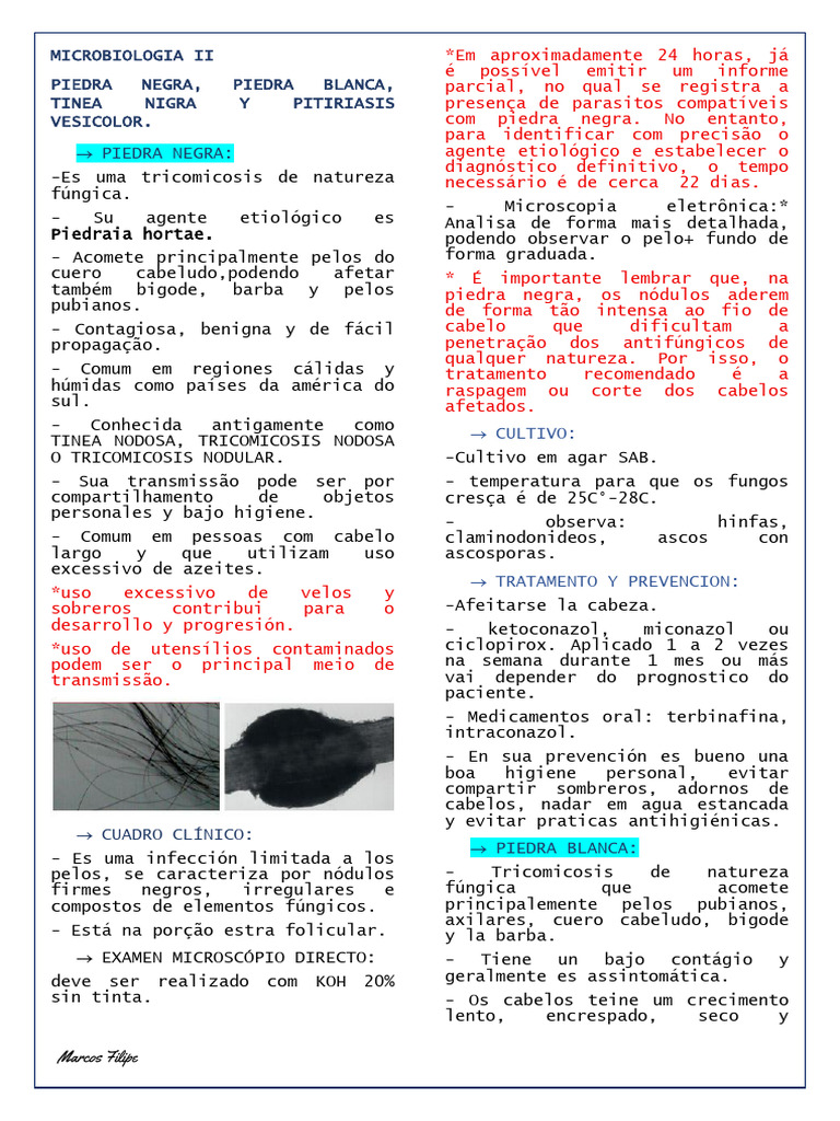 MICROBIOLOGIA II PIEDRA NEGRA, PIEDRA BLANCA, TINEA NIGRA Y PITIRIASIS ...