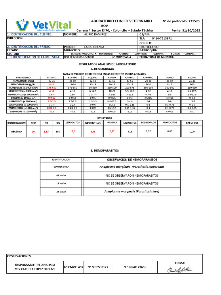 P - 221525 Bov Alirio Ramirez Hemog-Hemop | PDF | Tejido (biología ...
