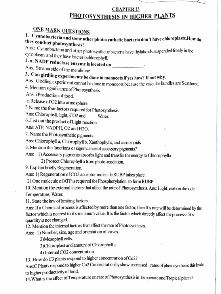 Chapter 11 Question and Answer | PDF | Photosynthesis | Biology