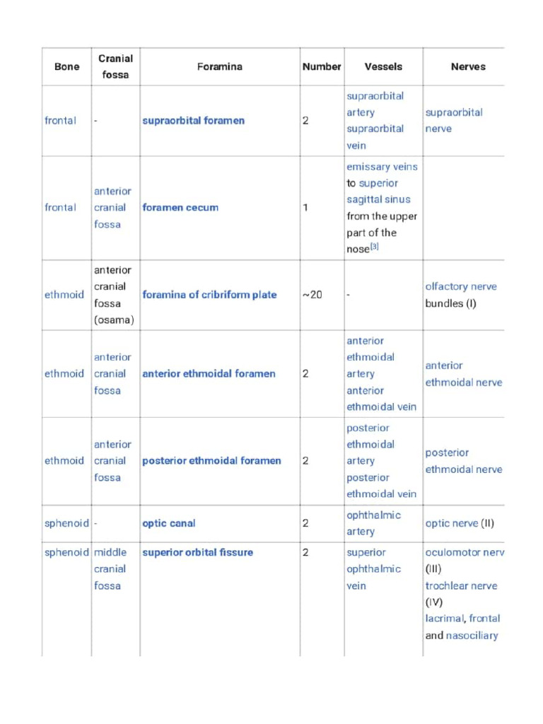 Skull Foramina | PDF