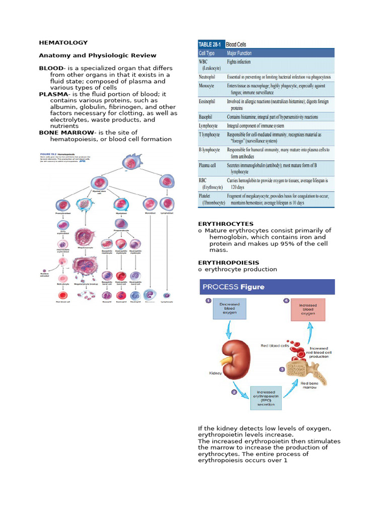 Hematology 2 | PDF | Anemia | Bleeding