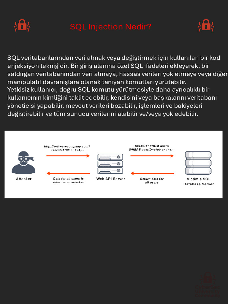 SQL Injection | PDF