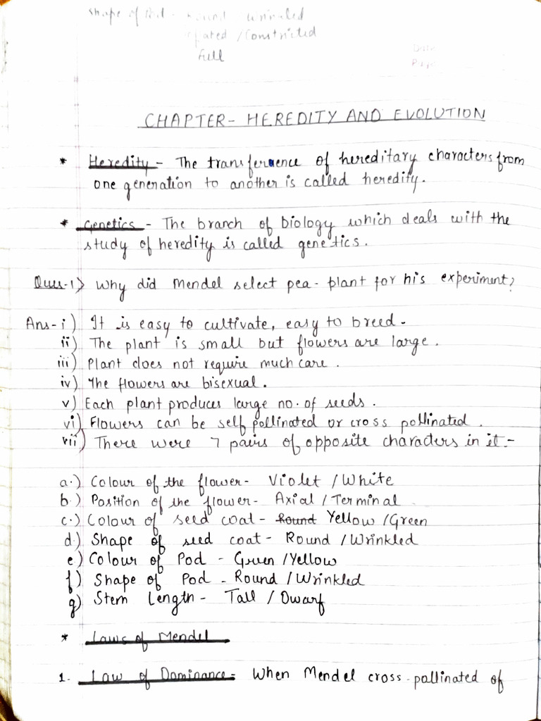 Heredity and Evolution Concepts | PDF | Genetics | Life Sciences
