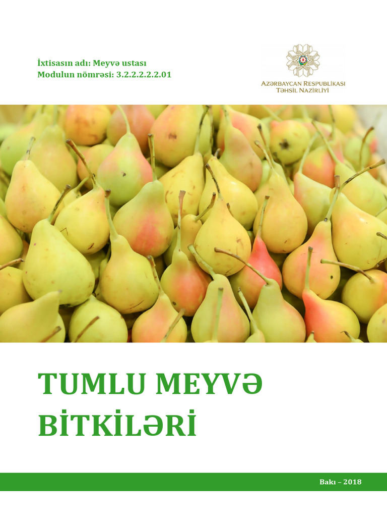 Y.süleymanova - Tumlu Meyva Bitkilari | PDF