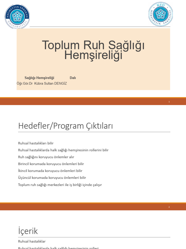Toplum Ruh Sağlığı Hemşireliği-Kübra 2025 | PDF