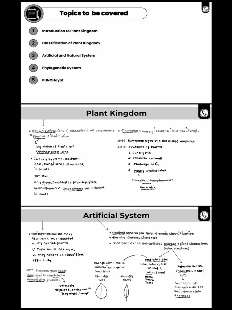 Plant Kingdom Class Notes | PDF