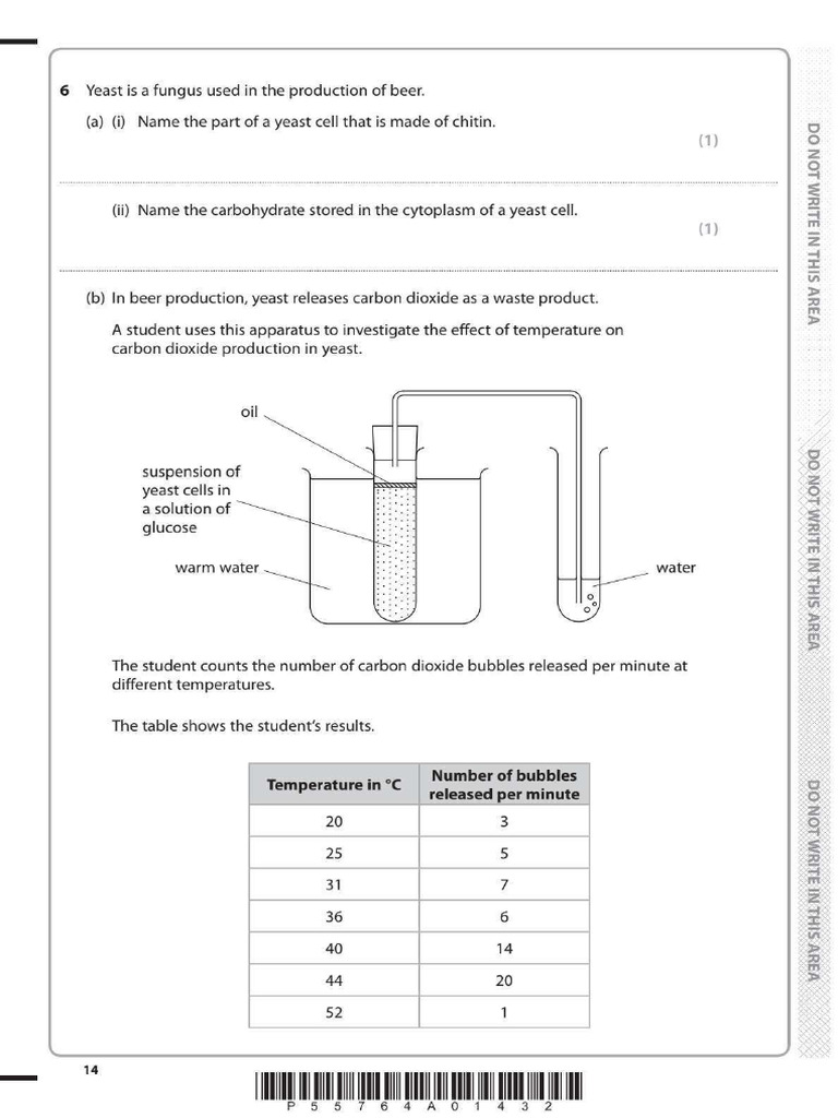 Enzymes, Respiration, Diffusion | PDF