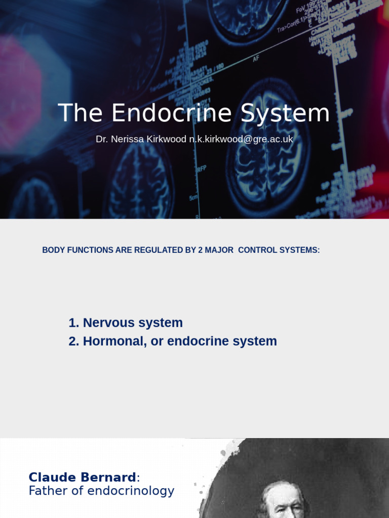 Overview of the Endocrine System | PDF | Endocrine System | Pituitary Gland