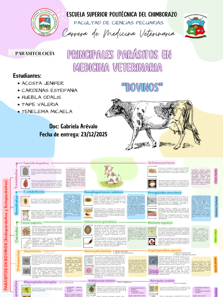 Flower Page Border A3 Landscape Poster (1) | PDF | Diarrea | Vacas