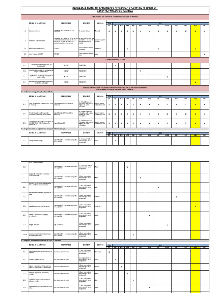 Programa Anual de Seguridad y Salud Laboral | PDF | La seguridad ...