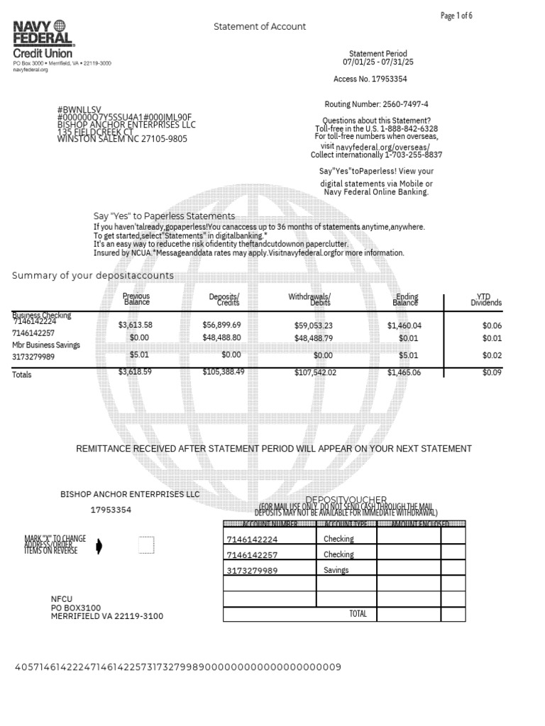 July 2025 Statement | PDF | Debit Card | Point Of Sale
