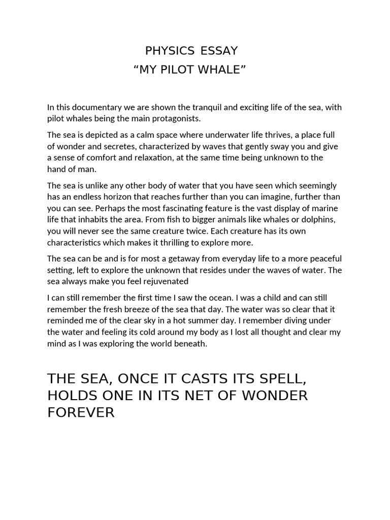 Physics Essay | PDF