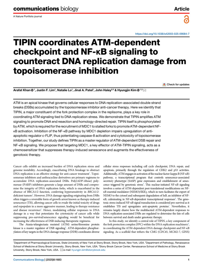 TIPIN's Role in ATM and NF-κB Signaling | PDF | Nf κb | Dna Repair