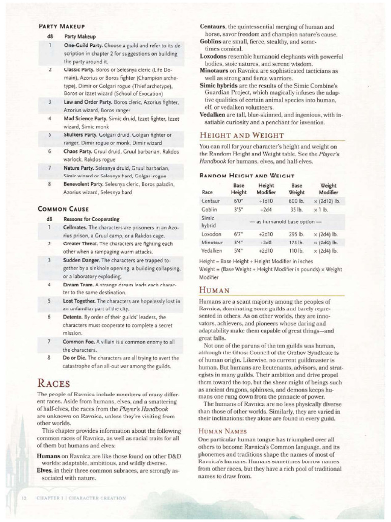 Ravn I Car Ace Class | PDF