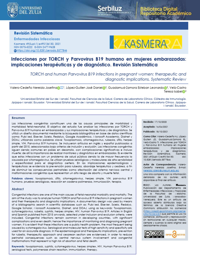 Infecciones TORCH y Parvovirus B19 en Embarazadas | PDF | Hepatitis | Virus