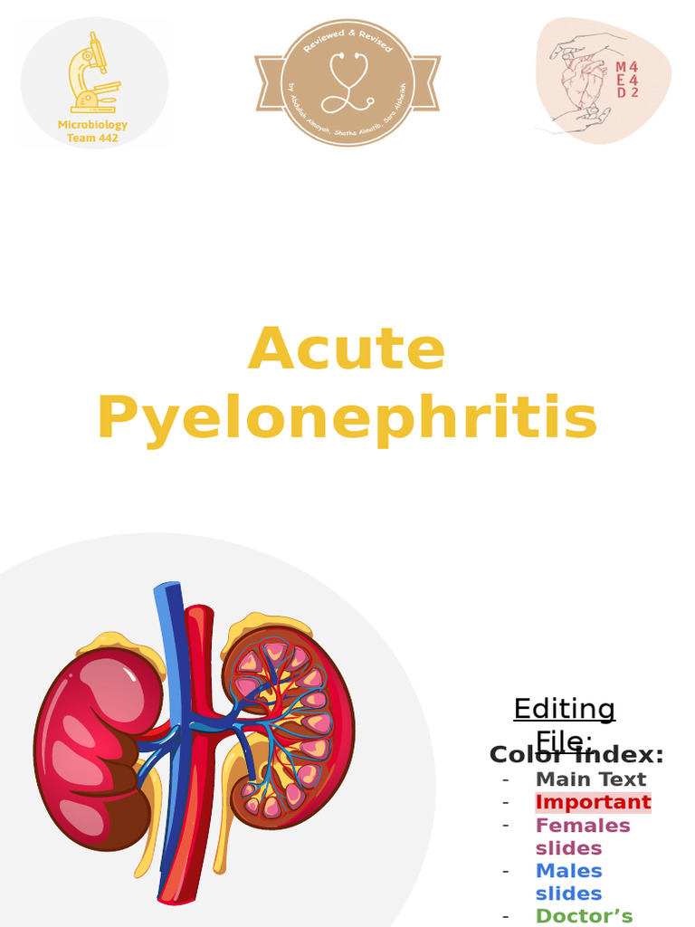 L1-Acute Pyelonephritis | PDF | Urinary Tract Infection | Kidney