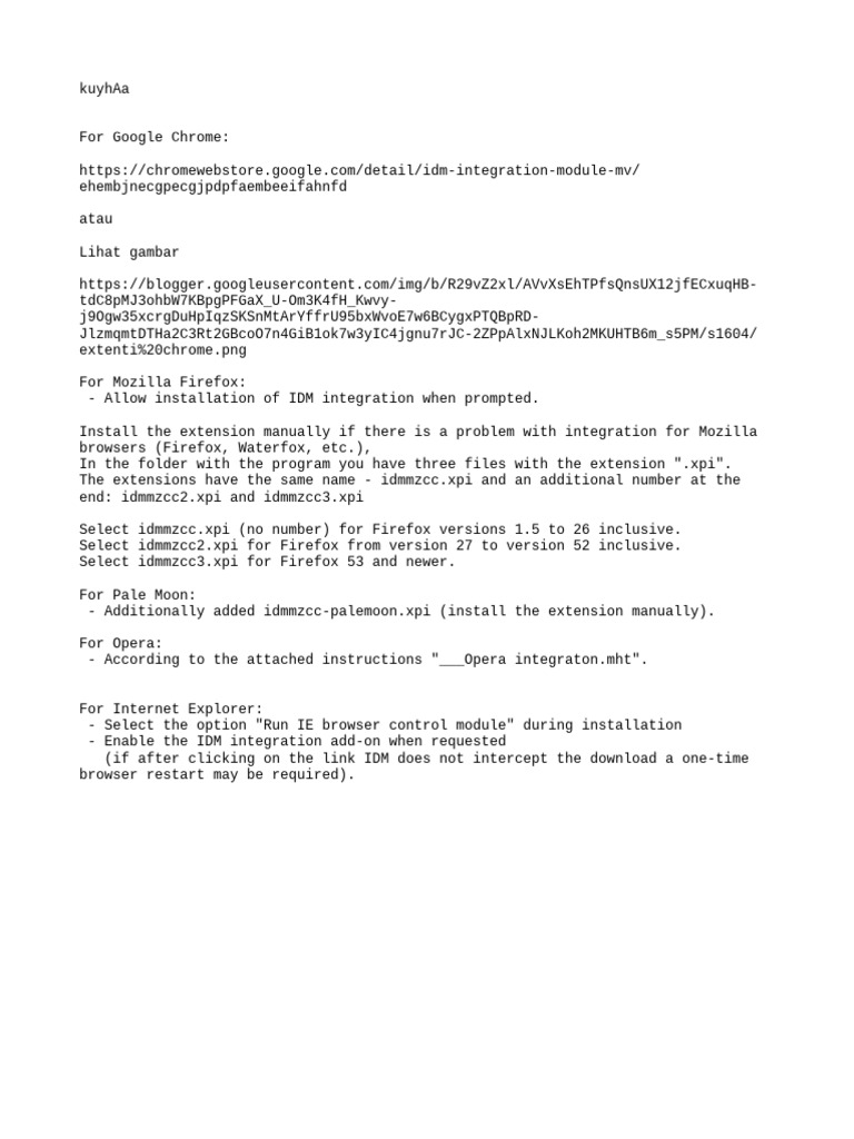 IDM Integration Guide for Browsers | PDF
