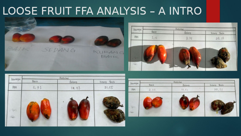 Loose Fruit Ffa Analysis - A Intro | PDF