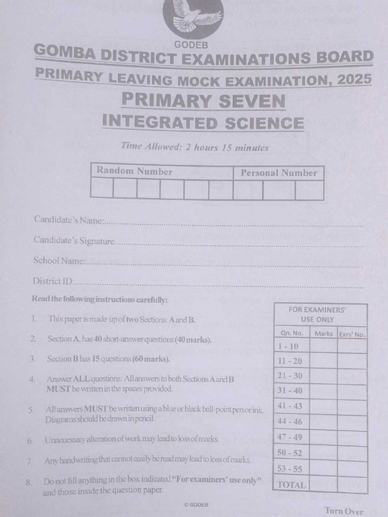 Compressed Gomba Mock | PDF