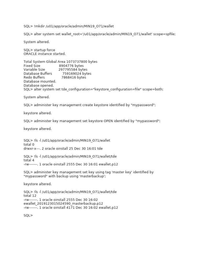TDE Steps in Oracle 19c | PDF