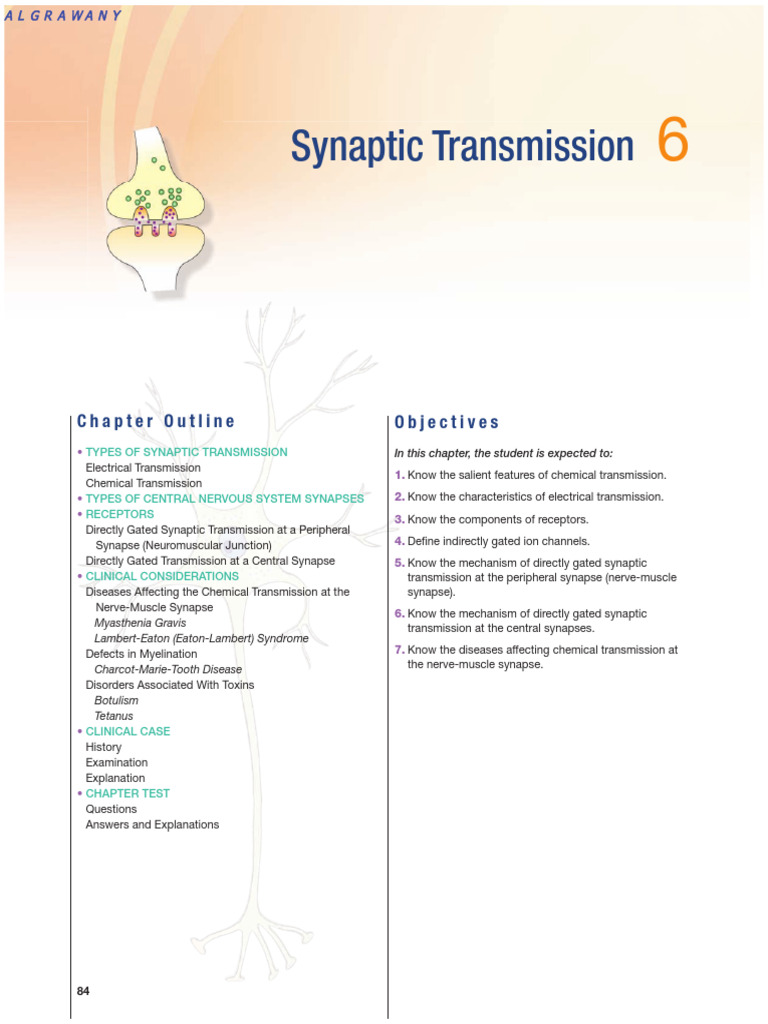 Synaptic Transmission Neurotransmitter | PDF | Chemical Synapse | Synapse