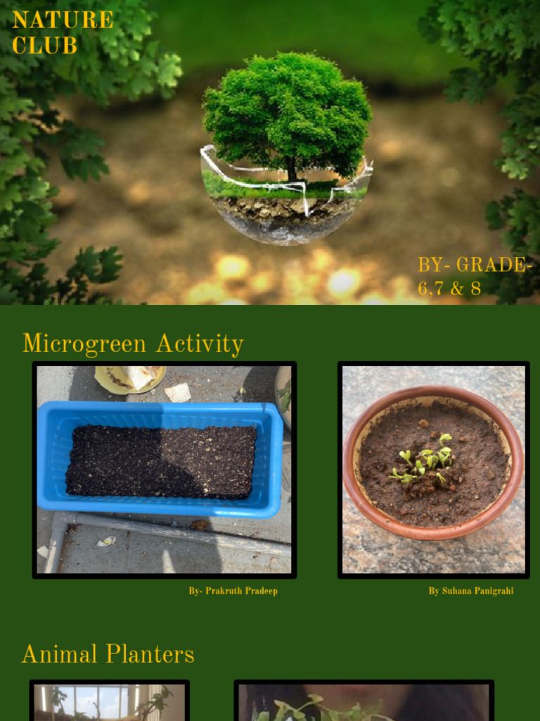 Nature Club Presentation .Pptx | PDF | Fertilizer | Plants