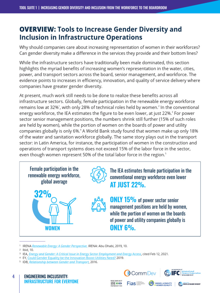 Boosting Gender Diversity in Infrastructure | PDF | Mentorship ...