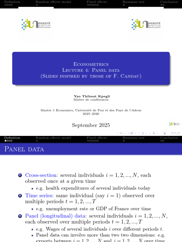 Econometrics_Lecture | PDF | Fixed Effects Model | Statistics