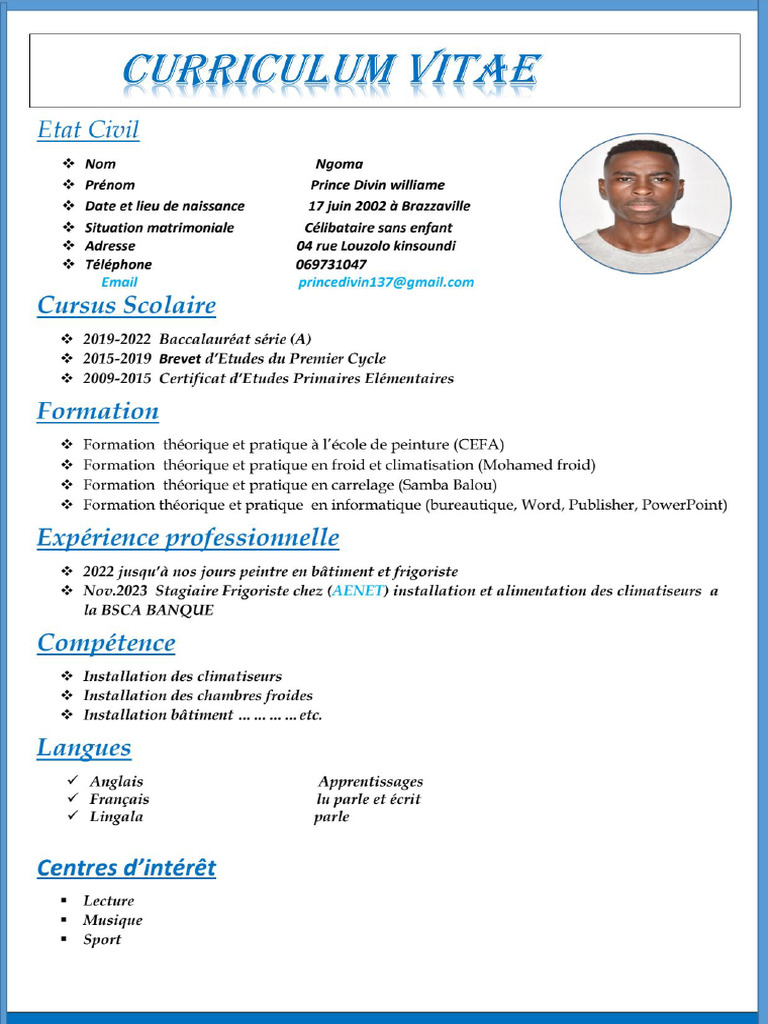 Curriculum Vitae - Copie.docx | PDF