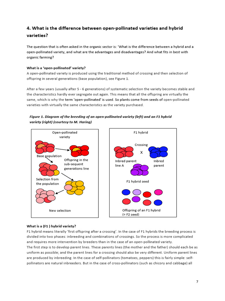 Open-Pollinated vs. Hybrid Varieties Explained | PDF | Plant Breeding ...
