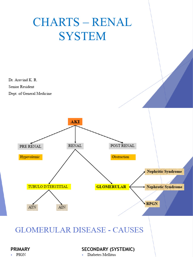 Charts – Renal System | PDF | Internal Medicine | Kidney