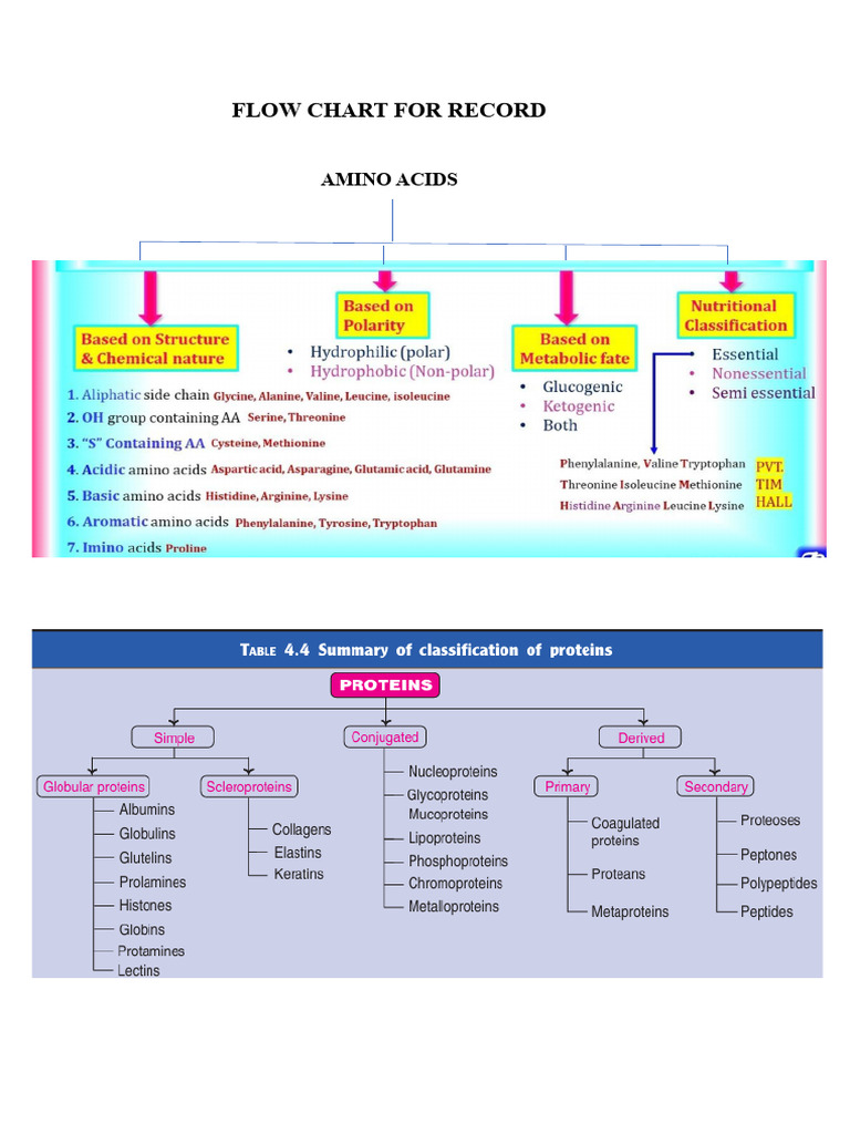 Flow Chart For Record | PDF