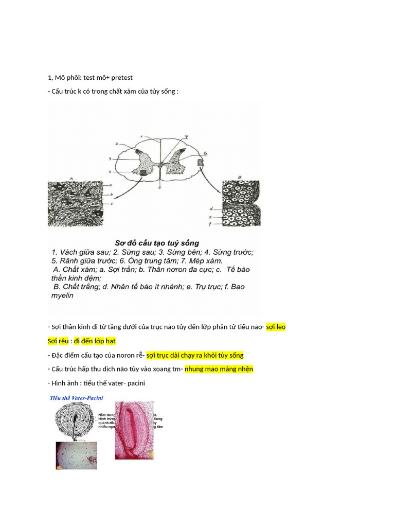 GK TK | PDF